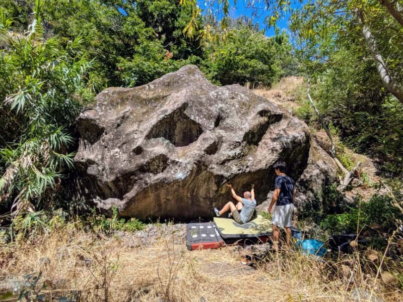 Madeira: Half-Day Bouldering Adventure with Snacks - Who Will Love This Tour?