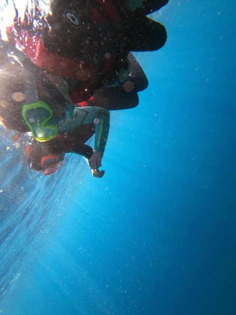 Madeira: Half-Day Coasteering Tour - What is Coasteering and Why do People Love It?