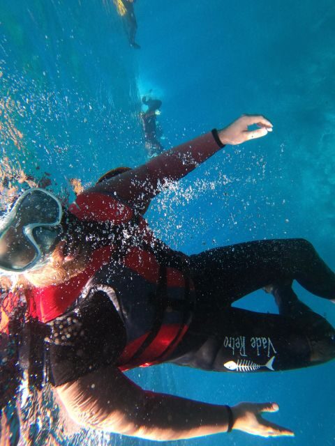 Madeira: Half-Day Coasteering Tour - What to Bring & Tips