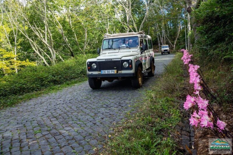 Madeira: Half-Day Nun's Valley and Sea Cliff Tour - Key Points