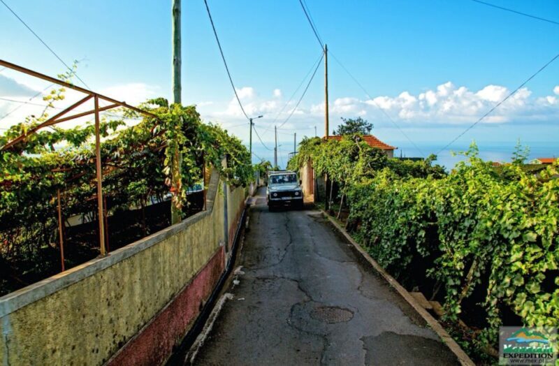 Madeira: Half-Day Nun's Valley and Sea Cliff Tour - What Sets This Tour Apart