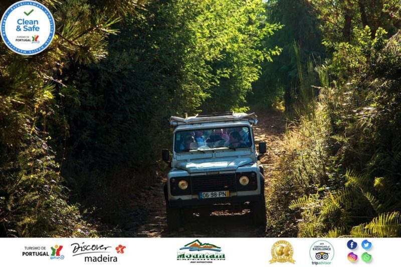 Madeira: Half-Day Nun's Valley and Sea Cliff Tour - The Practical Side: Pricing, Duration, and Value