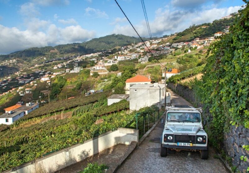 Madeira: Half-Day Nun's Valley and Sea Cliff Tour - Reviews and Authentic Perspectives