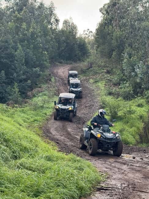 Madeira: Half-Day Off-Road Buggy Tour - Final Thoughts: Is This the Tour for You?
