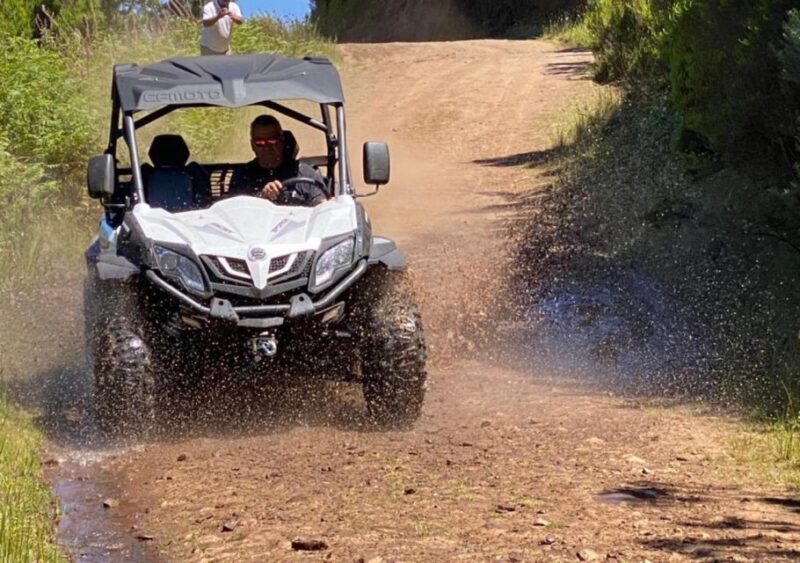 Madeira: Half-Day Off-Road Buggy Tour - FAQ: Your Questions Answered