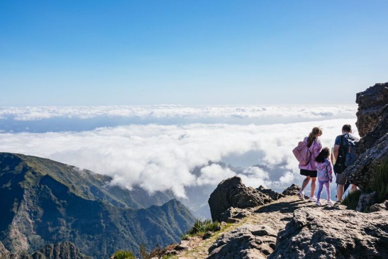Madeira: Half-Day Pico Arieiro Jeep Tour - Who Will Benefit Most?