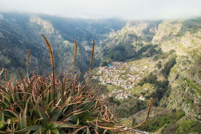 Madeira Half Day Small-Group Tour from Funchal - FAQ
