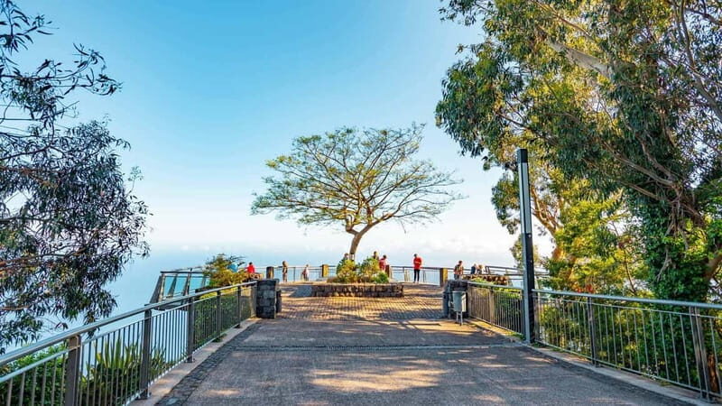Madeira: Highest Cliff in Europe & Visit to a Winery - Key Points