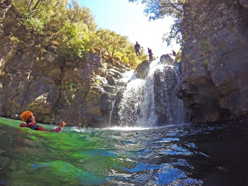 Madeira: Intermediate (Level 2) Canyoning Experience - Who Should Consider This Tour?