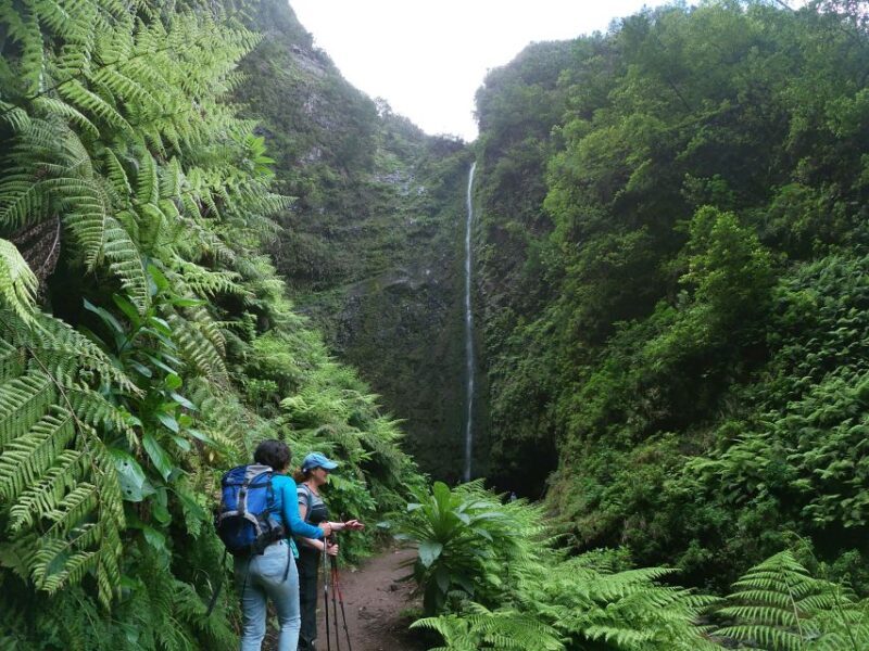 Madeira Island: Caldeirão Verde Levada Walk - Madeira Island: Caldeirão Verde Levada Walk – An Authentic Nature Escape