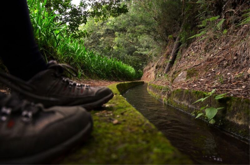 Madeira Island: Caldeirão Verde Levada Walk - What You’ll Experience at Each Stop