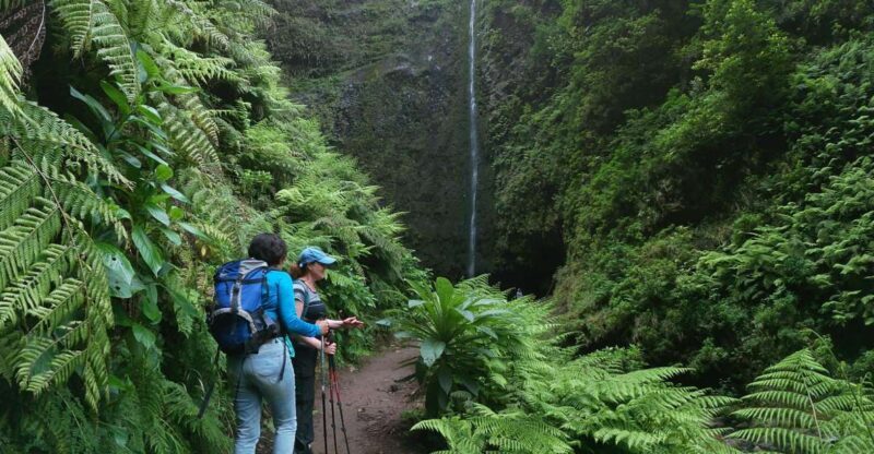 Madeira Island: Caldeirão Verde Levada Walk - The Cost and Value of This Experience