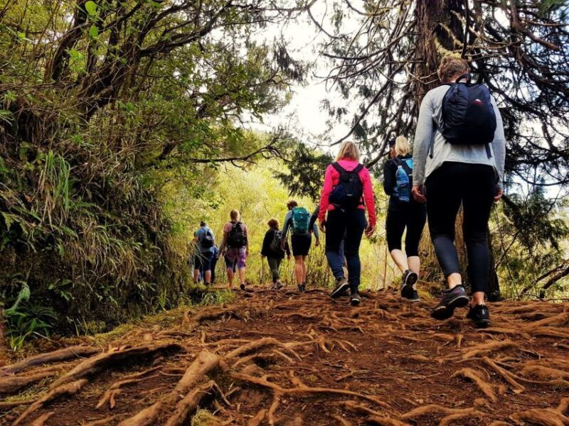 Madeira Island: Caldeirão Verde Levada Walk - Authentic Experience and Practical Tips