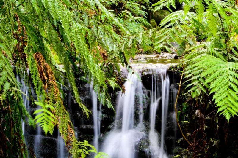 Madeira Island: Caldeirão Verde Levada Walk - FAQ