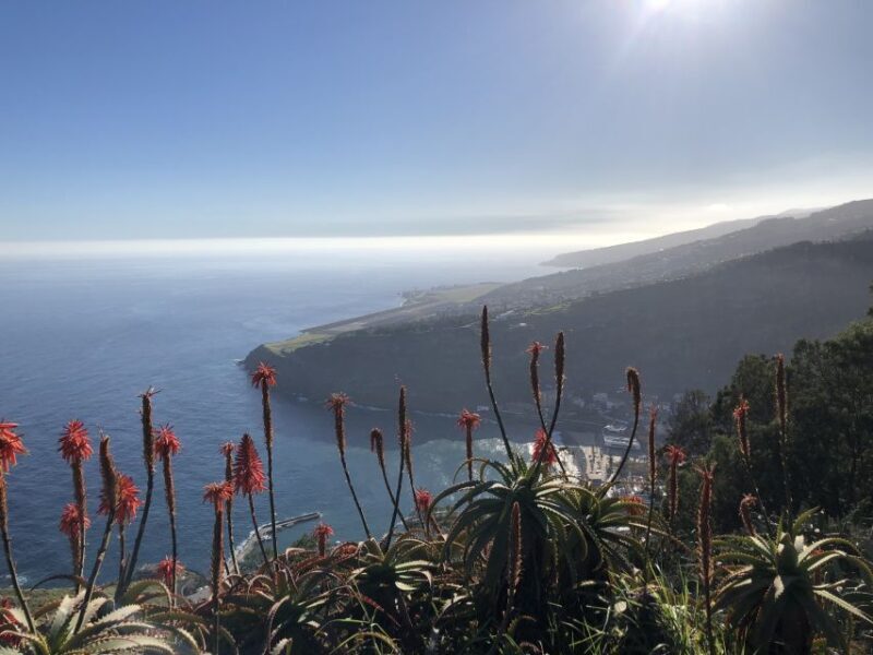 Madeira Island: Full-Day Guided Tour of Eastern Madeira - Who Would Love This Tour?