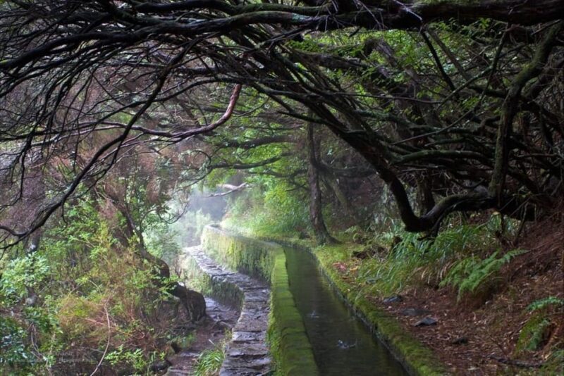 MADEIRA ISLAND WALK - 25 FOUNTAINS LEVADA - Madeira Island Walk - 25 Fountains Levada: An Authentic Nature Escape