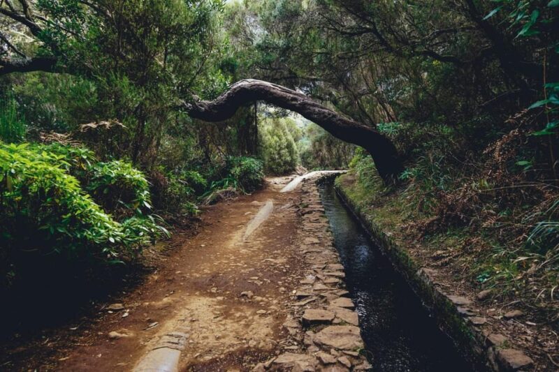 MADEIRA ISLAND WALK - 25 FOUNTAINS LEVADA - The Scenic Highlights in Detail