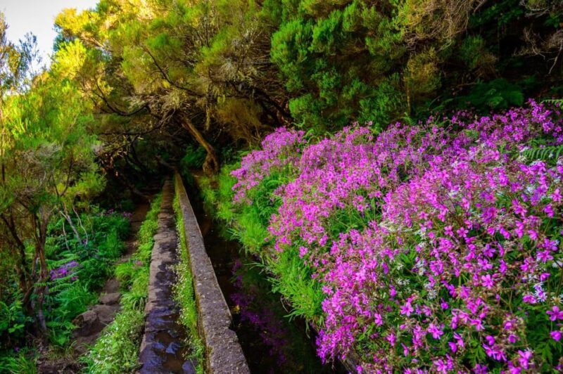 MADEIRA ISLAND WALK - 25 FOUNTAINS LEVADA - FAQs