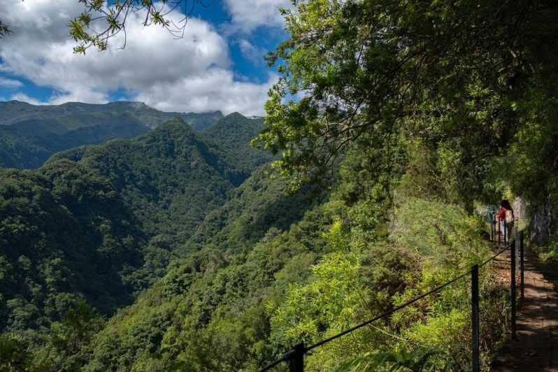 MADEIRA ISLAND WALK - HIDDEN CORNERS KINGS LEVADA - The Experience: What You Can Expect on This Guided Madeira Walk