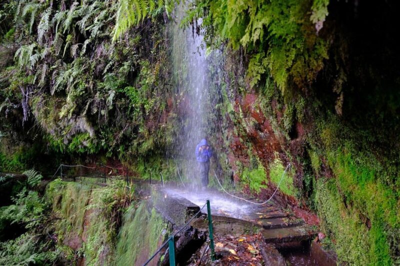 MADEIRA ISLAND WALK - HIDDEN CORNERS KINGS LEVADA - Who Should Consider This Tour?