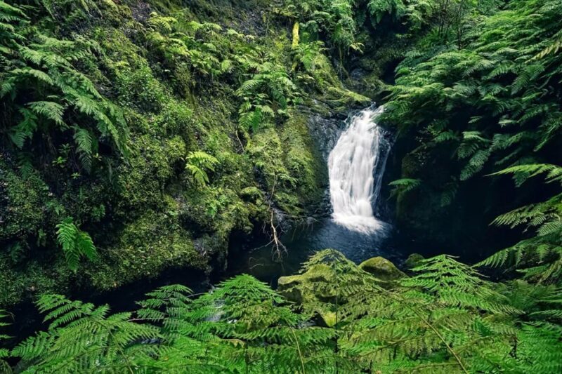 MADEIRA ISLAND WALK - HIDDEN CORNERS KINGS LEVADA - The Sum Up