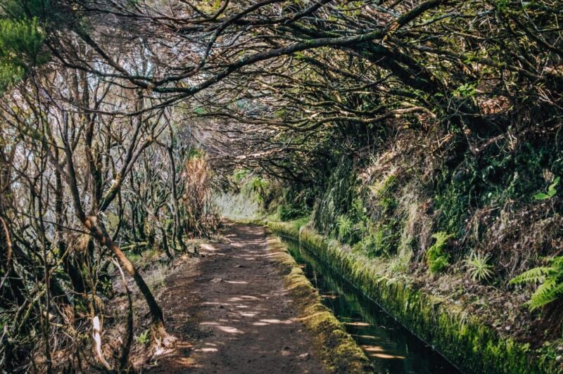 MADEIRA ISLAND WALK - LAKES OF MADEIRA , LEVADA DO ALECRIM - A Detailed Look at the Lakes of Madeira and Levada do Alecrim Tour