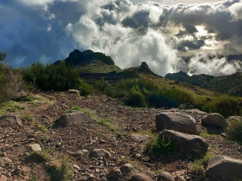 MADEIRA: Jeep Safari to Lava Pools and Seixal Full-Day West - An Authentic Adventure Through Madeira’s West Coast
