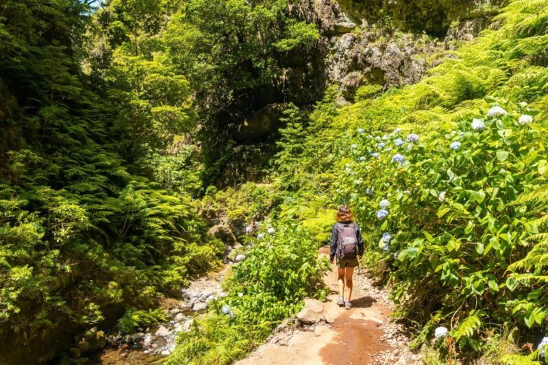 Madeira: Jungle Fever Levada Caldeirao Verde Hike Santana - Key Points