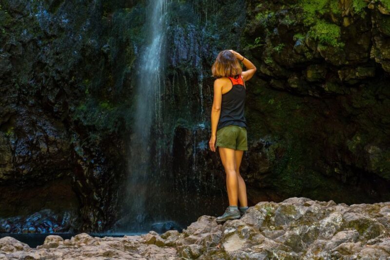 Madeira: Jungle Fever Levada Caldeirao Verde Hike Santana - Pricing and Overall Value