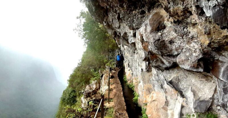 Madeira: Jungle Fever Levada Caldeirao Verde Hike Santana - Flexibility and Cancellations
