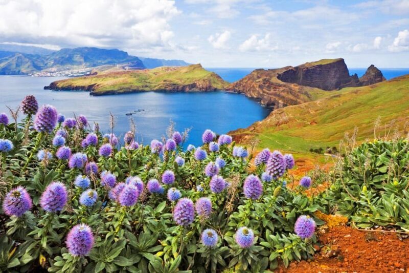 Madeira: Late East Tour with Pico do Areeiro Views - FAQ About the Madeira Late East Tour