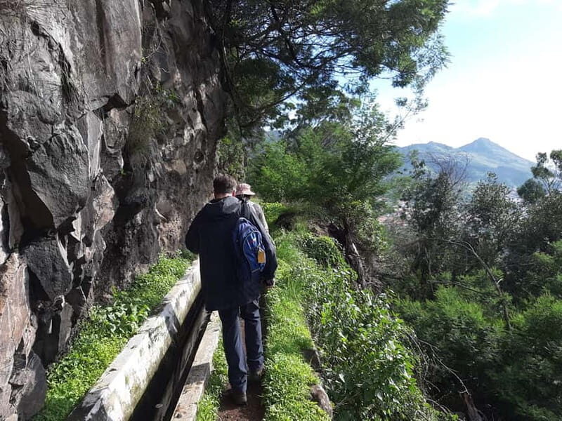 Madeira: Levada dos Maroços Hike - Who Should Consider It?