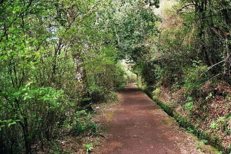 Madeira: Levada Paradise Valley Scenic Walk - What Makes This Tour Special?