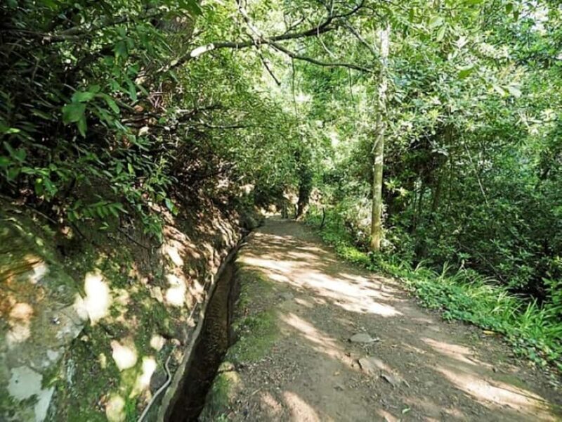Madeira: Levada Paradise Valley Scenic Walk - Final Thoughts: Who Should Consider This Tour?