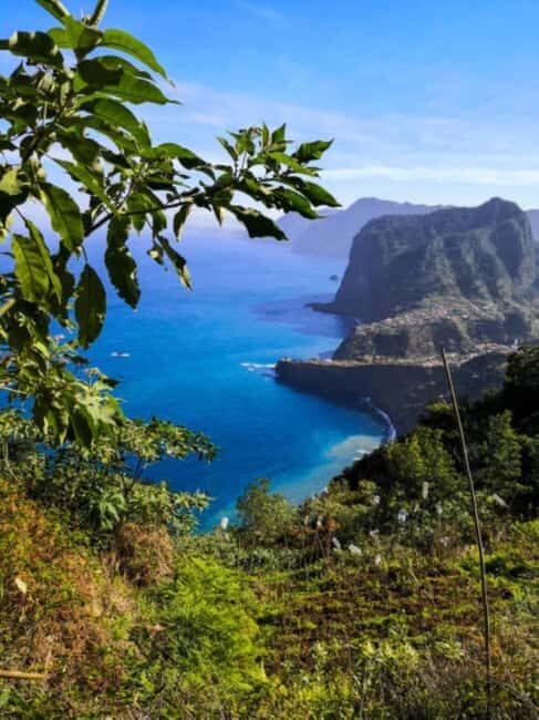 Madeira: Levada Referta  Castelejo Guided Walk - What to Expect During the Walk