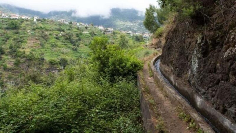 Madeira: Levada Referta  Castelejo Guided Walk - Authenticity and Value