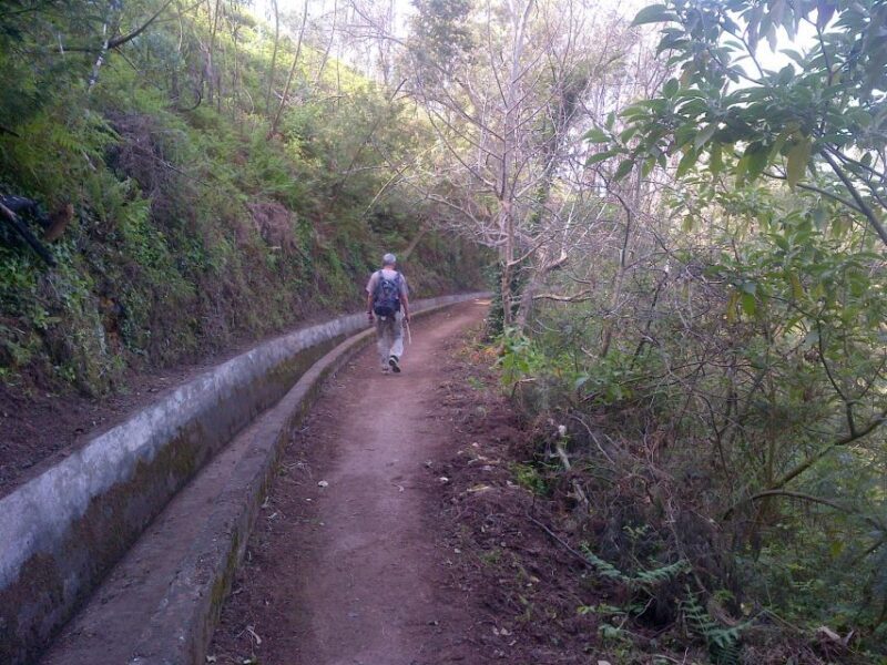 Madeira: Levado do Norte 2-Hour Hiking Tour - Highlights of the Tour