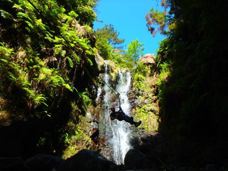 Madeira: Level-1 Canyoning Adventure - Key Points