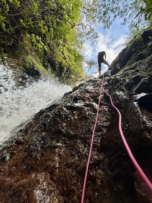 Madeira: Level 1 Canyoning Half Day Adventure - Practical Information & FAQs