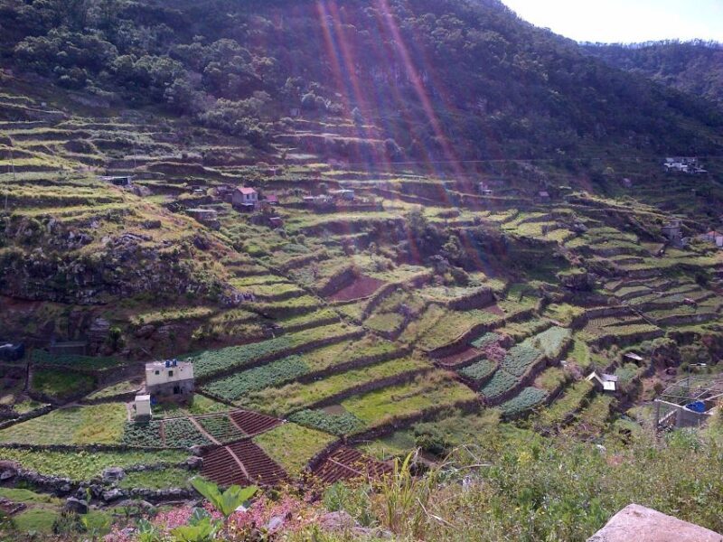 Madeira: Maroços Landscapes 2.5-Hour Guided Walk - Key Points