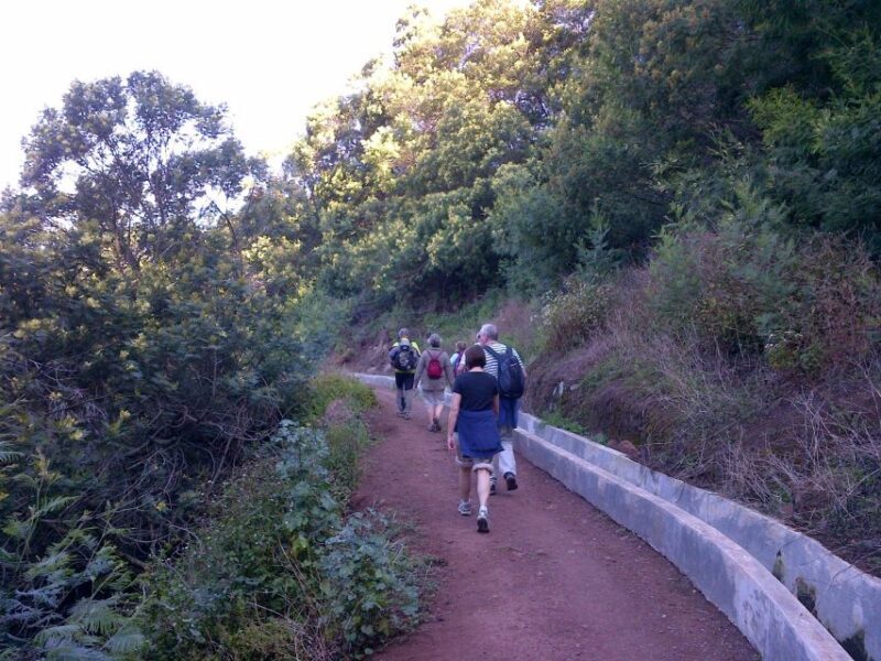 Madeira: Maroços Landscapes 2.5-Hour Guided Walk - An In-Depth Look at the Maroços Landscapes Walk