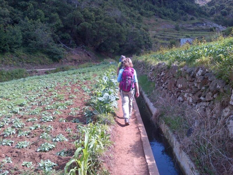Madeira: Maroços Landscapes 2.5-Hour Guided Walk - Who Is This Tour Best For?