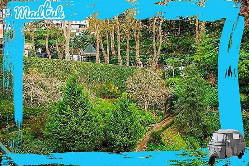 Madeira: Monte Toboggan + Old Town Tuk-Tuk Tour by MadTuk - Overall Value and Impressions