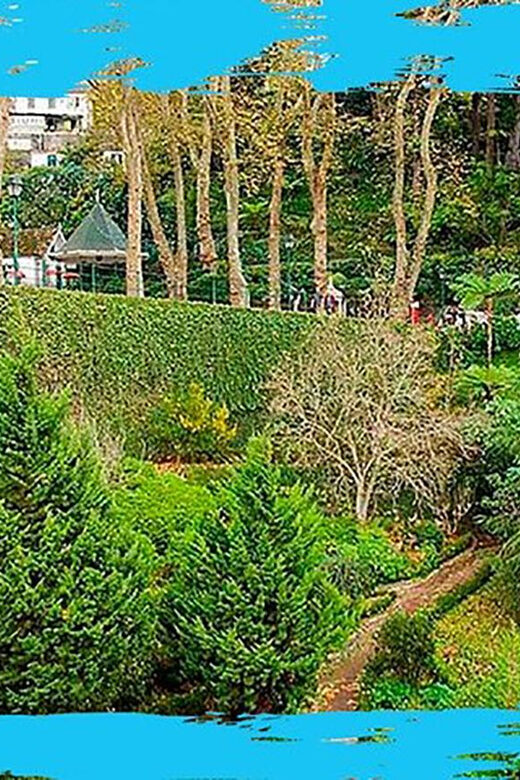 Madeira: Monte Toboggan + Old Town Tuk-Tuk Tour by MadTuk - Frequently Asked Questions
