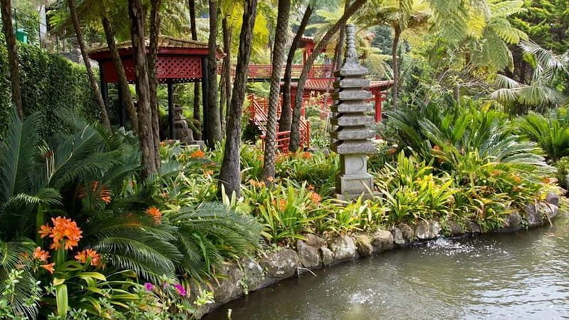 Madeira: Monte Tropical Gardens + Old Town Tuk Tuk by MadTuk - Key Points