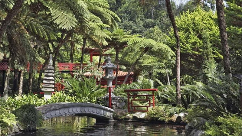 Madeira: Monte Tropical Gardens + Old Town Tuk Tuk by MadTuk - A Close Look at the Monte Tropical Gardens + Old Town Tuk Tuk Tour