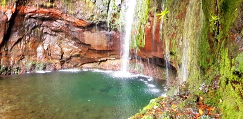 Madeira: Mountain Walk with Lagoon and Waterfalls - A Walk Through the Itinerary: What to Expect