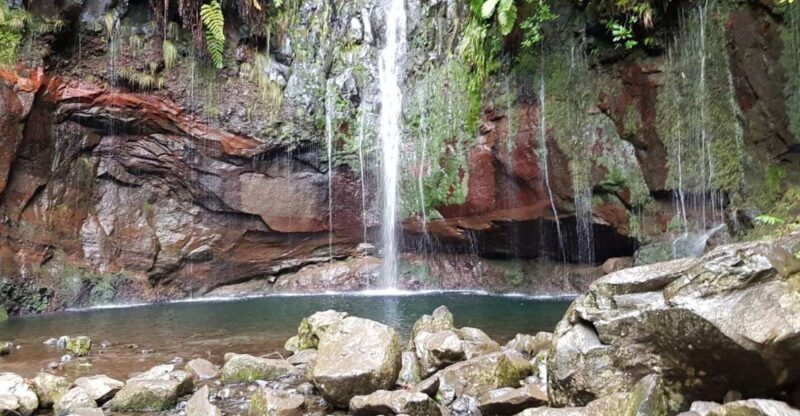 Madeira: Mountain Walk with Lagoon and Waterfalls - Why This Tour Is a Good Choice