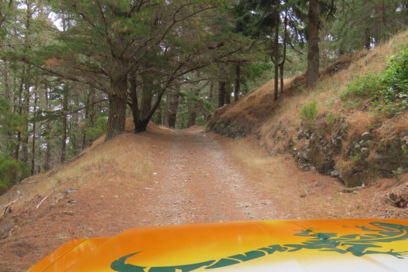 Madeira : Nun's Valleys and Pico Areeiro 4X4 Tour - The Sum Up
