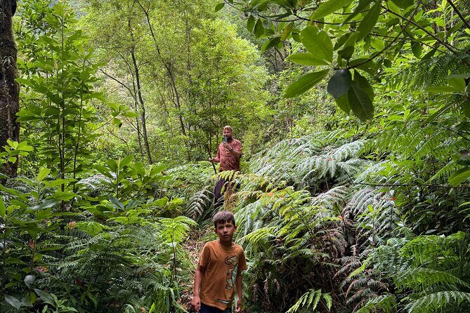 Madeira Off-Road 4x4 Jeep Adventure Private Full day Tour - An Off-Road Adventure Like No Other